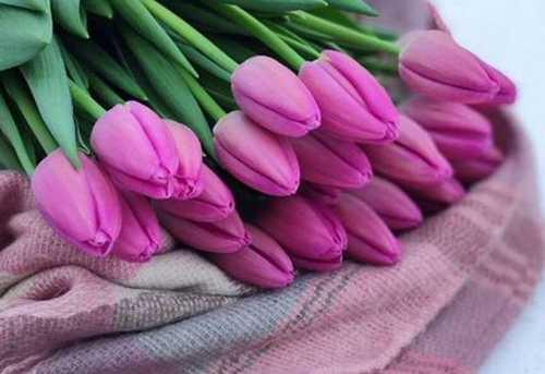Тюльпаны на Доставку и Самовывоз к 8 марта
