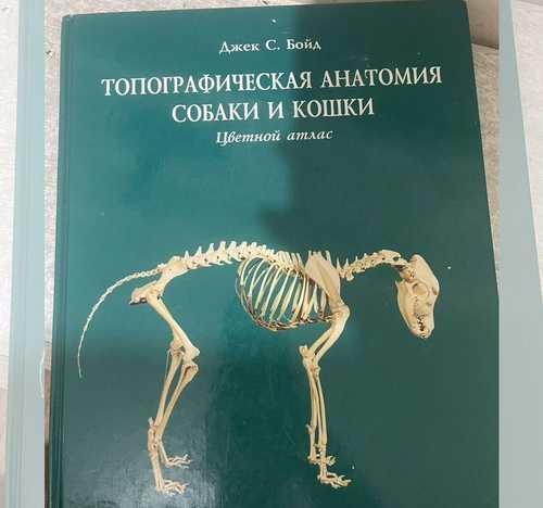 Топографическая анатомия собаки и кошки