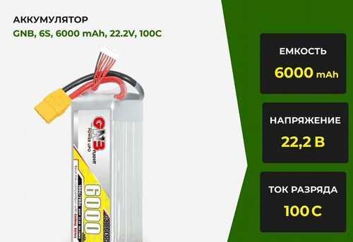 Аккумулятор GNB 6S 6000 mAh 100C