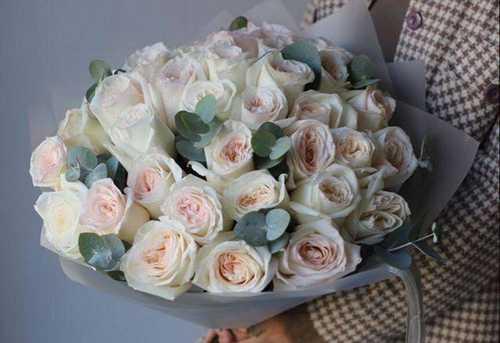 Пионовидные розы, ароматные розы