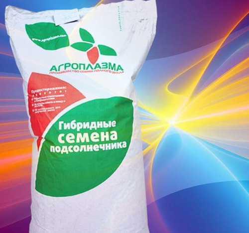 Гибриды семена подсолнечника Агроплазма
