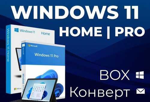 Windows 11 Home/Pro