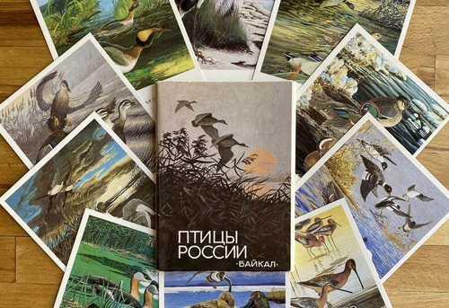 Винтажные открытки «Птицы» 16 шт., 1984 год