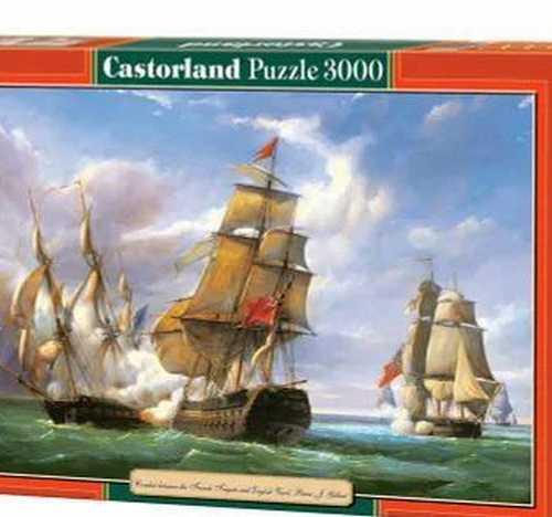 Пазлы 3000 Castorland