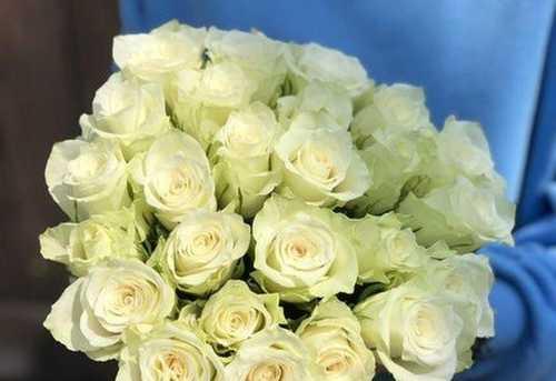Цветы, букеты 11 шт, 25,51,101 розы Эквадор