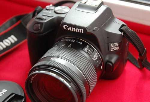 Canon 250D kit 18-55 STM
