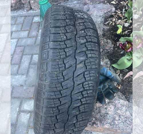 Continental Contact CT 22 195/65 R15 91T