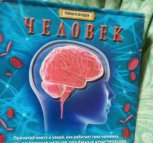Книга о строении тела человека для детей