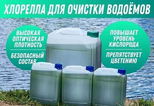 Живая водоросль суспензия для водоема