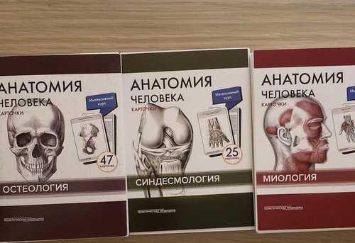 Карточки по анатомии Сапин М.Р