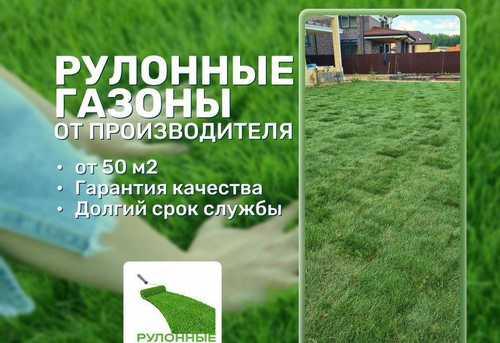 Рулонный газон. Универсален для любой задачи