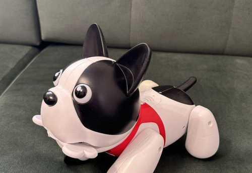 Робопес duke