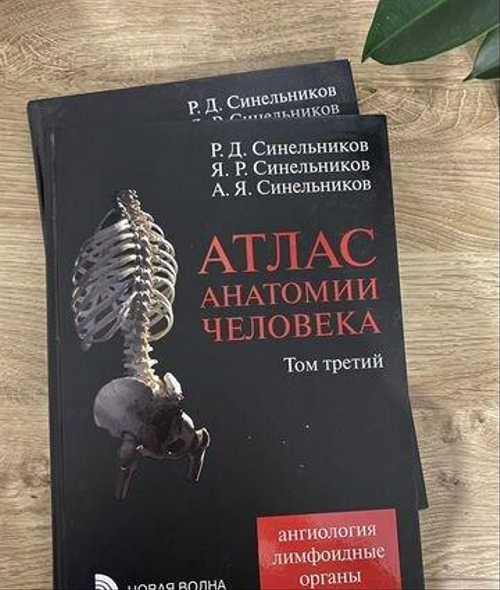 Атласы анатомии Синельникова