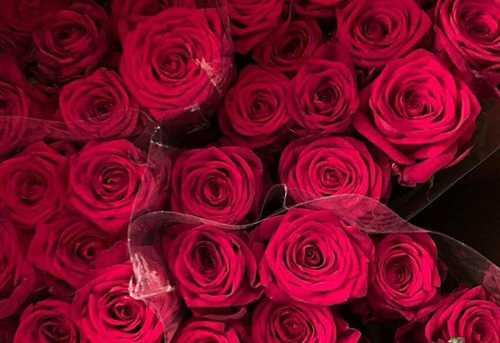 Цветы Роза красная 60см Доставка по Ставрополю