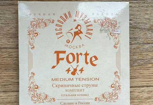 Комплект струн для скрипки Forte