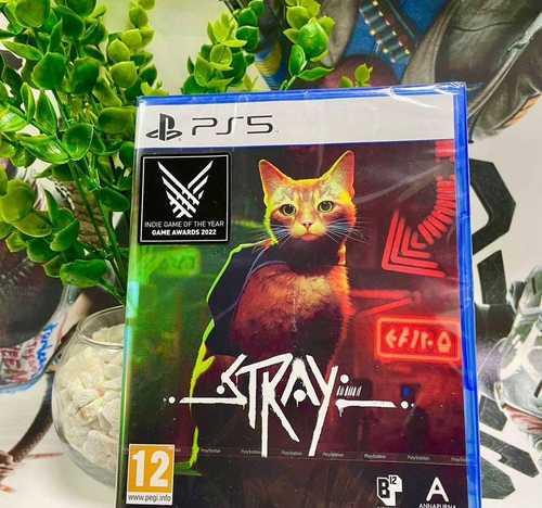 Stray ps5 Новый