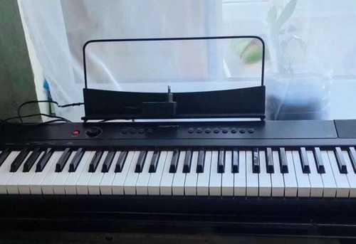 Цифровое пианино Denn Pro PW01