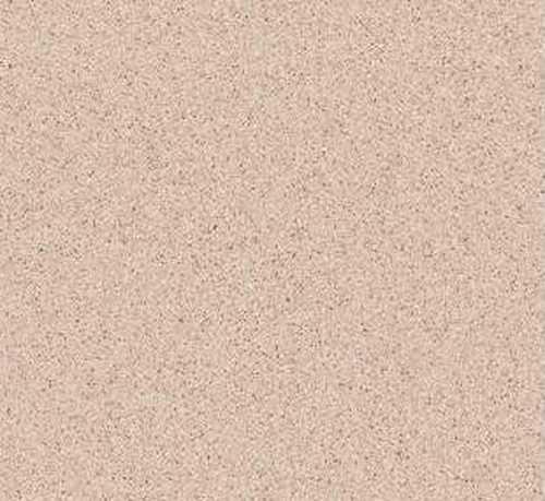 Линолеум Tarkett Primo Plus 300021001 Primo 301 (р