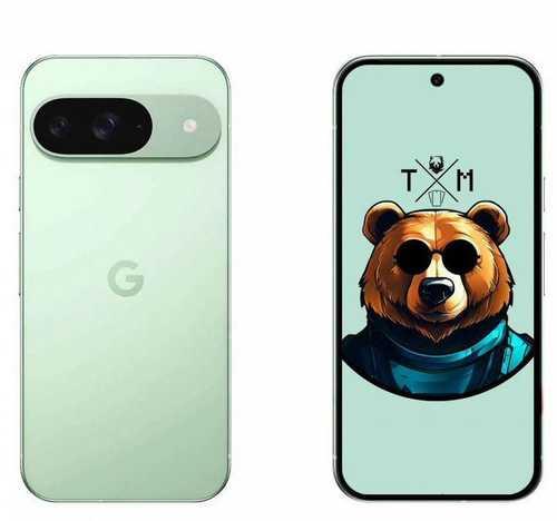 Google Pixel 9, 12/256 ГБ