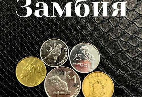Монеты Замбия
