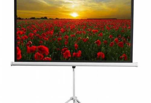 100" Экран для проектора Digis Kontur-D dskd-4303