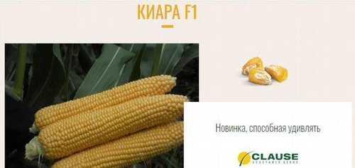 Киара F1 50 тыс.шт семена суперсладкой кукурузы