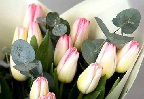 Цветы Тюльпаны нежно розовые