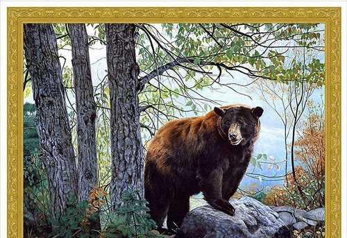 Алмазная мозаика Painting Diamond "Медведь"
