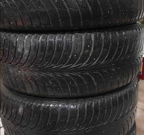Sava Eskimo Ice 205/55 R16