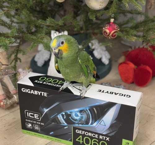 Новая RTX 4060 Gigabyte Eagle OC Ice 8G