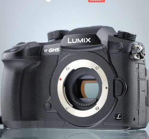 Panasonic Lumix DC-GH5 Body (id-03240510)