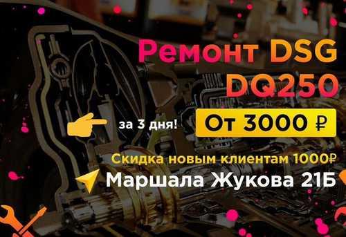 Ремонт АКПП DSG DQ 250