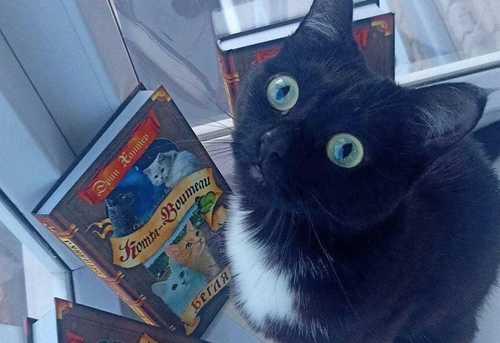 Книги Коты-Воители