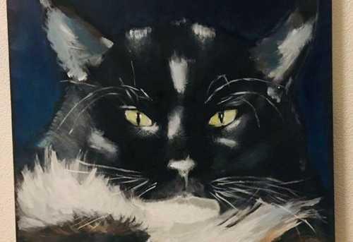 Картина маслом на холсте 30х40 "Черный котик"