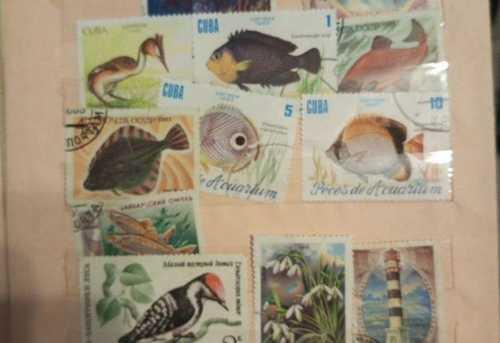 Почтовые марки разные СССР