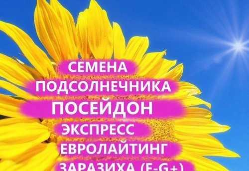 Семена подсолнечника Посейдон Гибриды