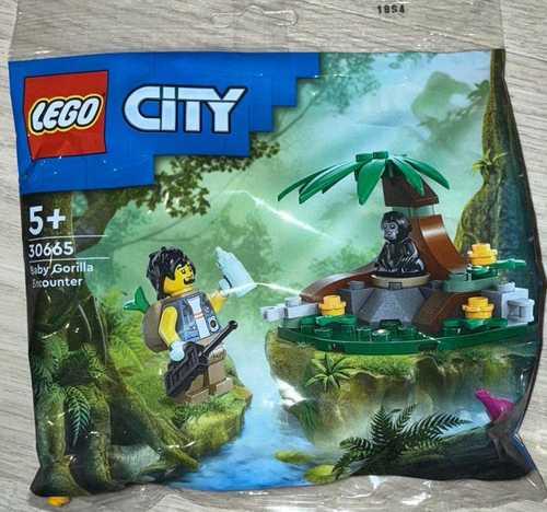 Lego city 30665