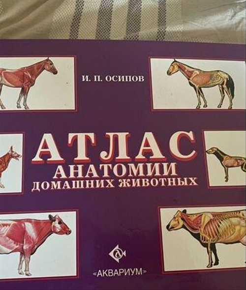 Атлас Анатомии домашних животных И.П. Осипов