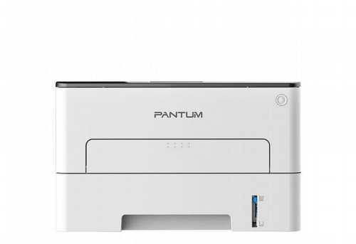 Pantum P3010D