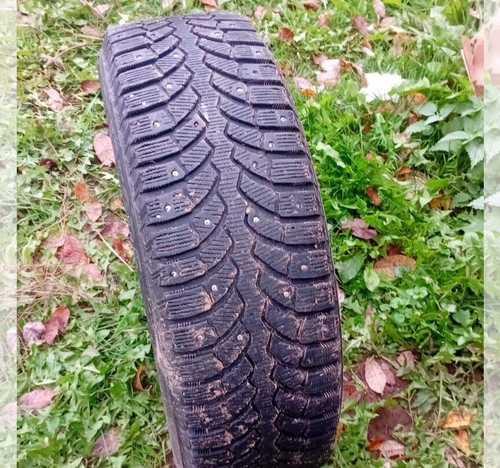 Nordman 5 185/65 R15
