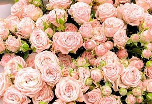 Кустовые пионовидные розы с доставкой на День мам