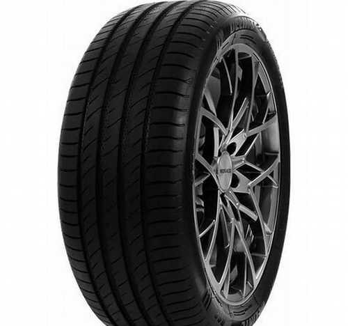 Delinte DS2 225/45 R17 94W
