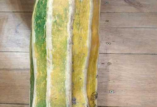 Семена кабачок Марроу выставочный гигант