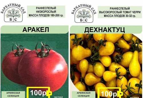 Элитные семена томатов из Армении