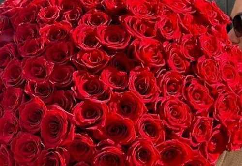 Розы 101, тюльпаны, хризантемы опт розница