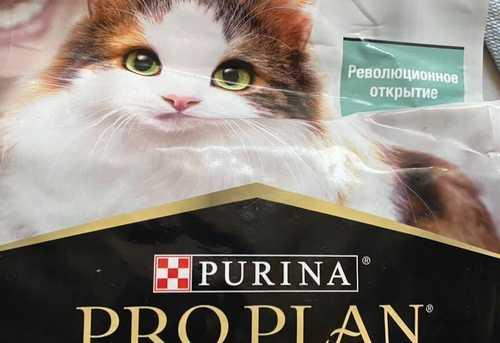 Корм для кошек
