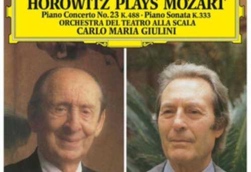 Виниловая пластинка Vladimir Horowitz, Orchestra d