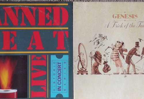 Genesis, canned heat