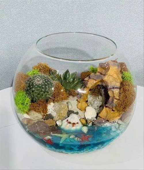 Флораиум аквариум с растениями