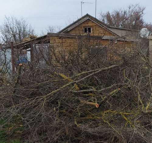 Дрова за самовывоз